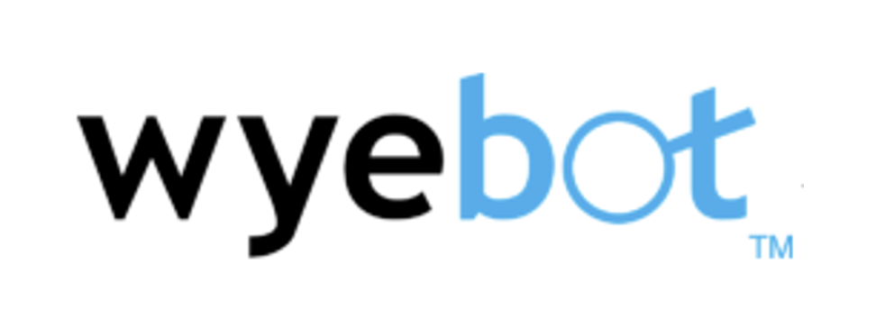 WyeBot - Skyline Networks